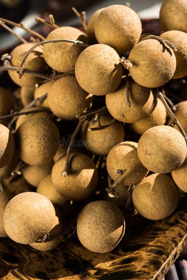 Longan stock image. Image of nature, seasonal, closeup - 53826617