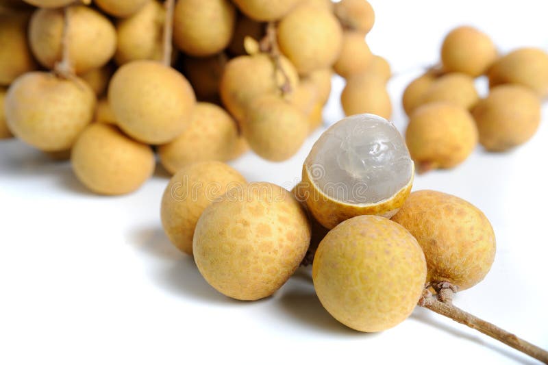 Longans stock photo. Image of organic, healthy, agriculture - 25882984