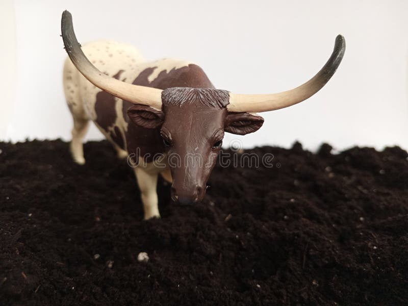 Longhorn cow toy figure stock image. Image of object - 307717173