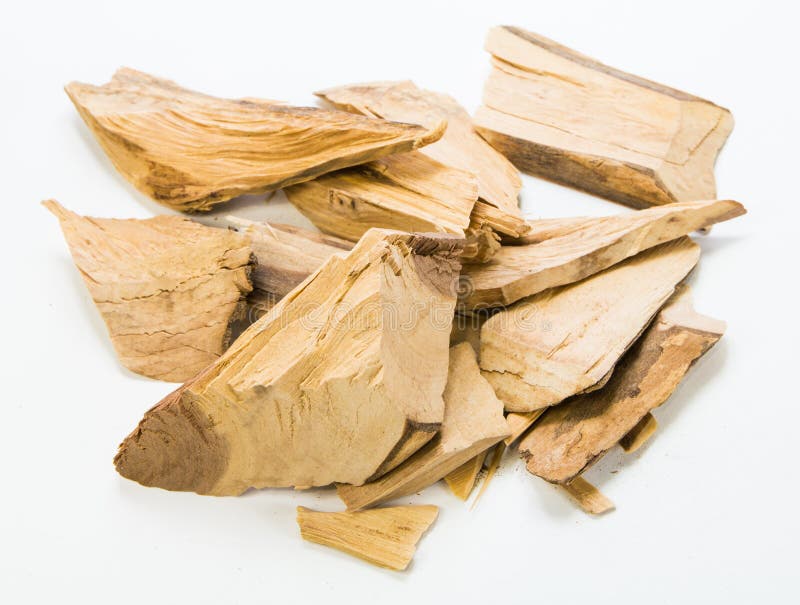 Longifolia Di Eurycoma Anche Conosciuto Come Tongkat Ali. Fotografia ...