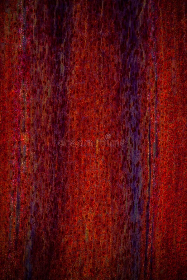 Longitudinal Section of Pine Wood Stock Image - Image of wood, macro ...