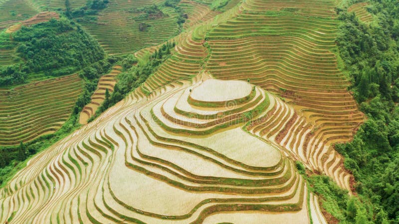 Longji Rice Terraces in China Drone View Stock Image - Image of chinese ...