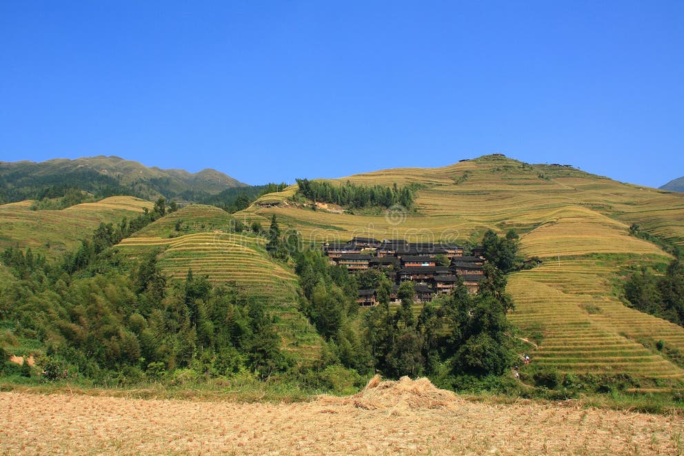 Longji Terraces stock photo. Image of longji, farming - 20070844