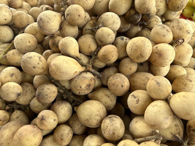 Longkong Fruit in the Basket for Business Stock Image - Image of ...