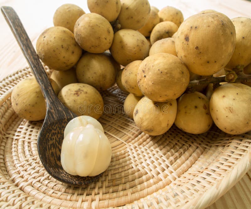 Longkong Or Wollongong Lansium Parasiticum Is Tropical Fruit. It`s ...