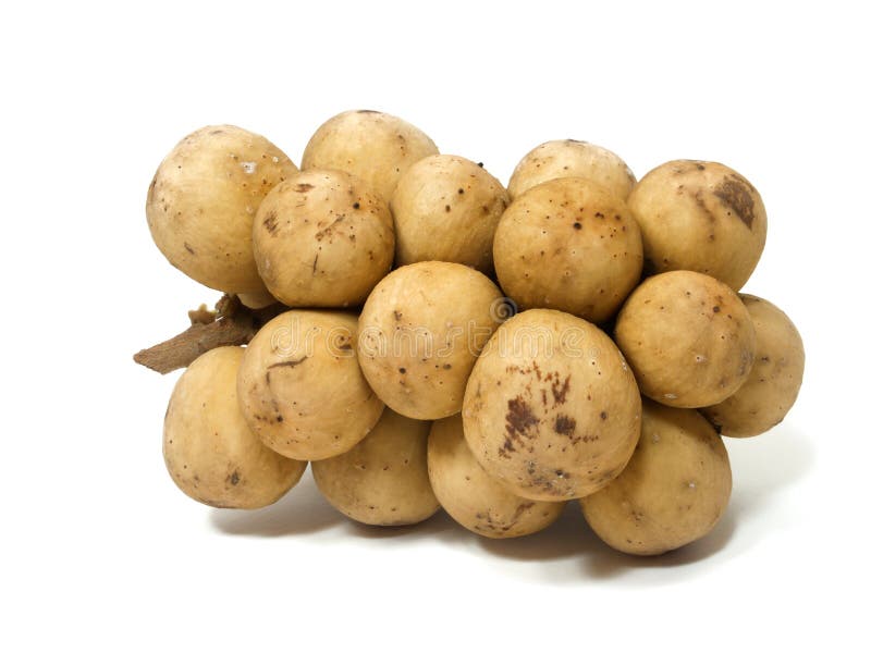 Longkong Fruit stock image. Image of healthy, flora, diet - 31639631