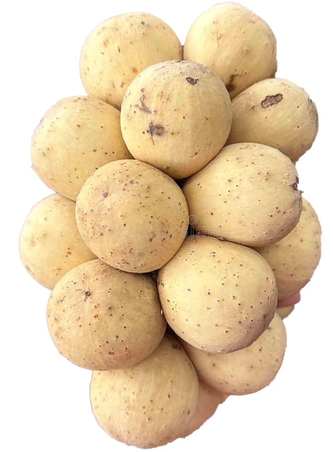 Longkong, Langsat, Thai Fruit, Sweet, Delicious Taste, Thai Fruit Stock ...