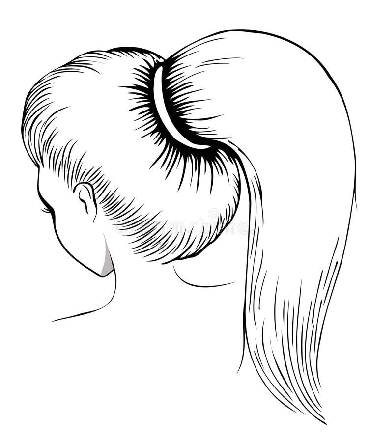 Icône De Coiffure De Queue De Cheval De Femmes, Visage De Femmes De ...