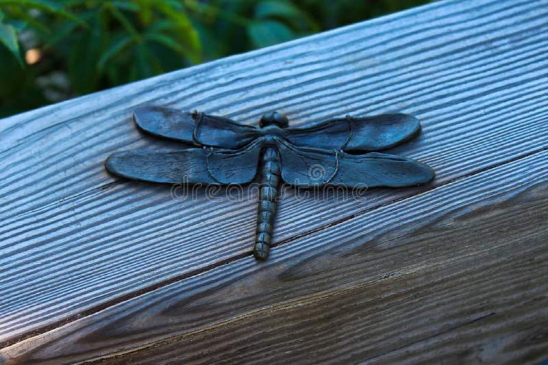 Longwood Gardens Dragonfly Design Kennett Square Pa Stock Image - Image ...