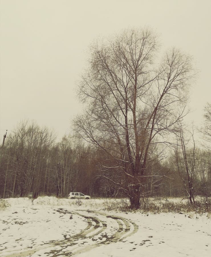Lonely car on winter road editorial photography. Image of branch ...