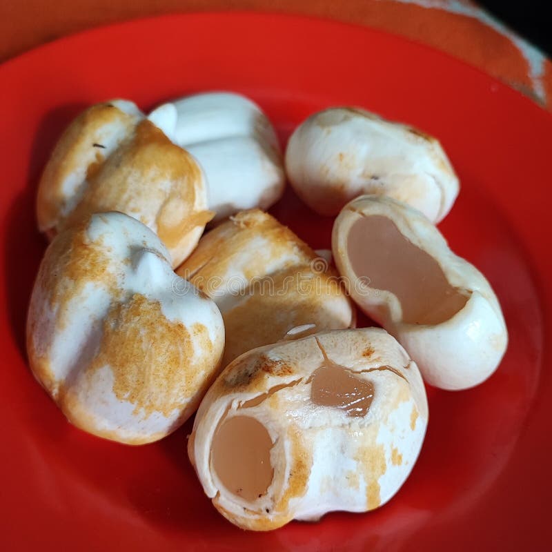 Lontar Fruit stock image. Image of healthy, organic - 277107309