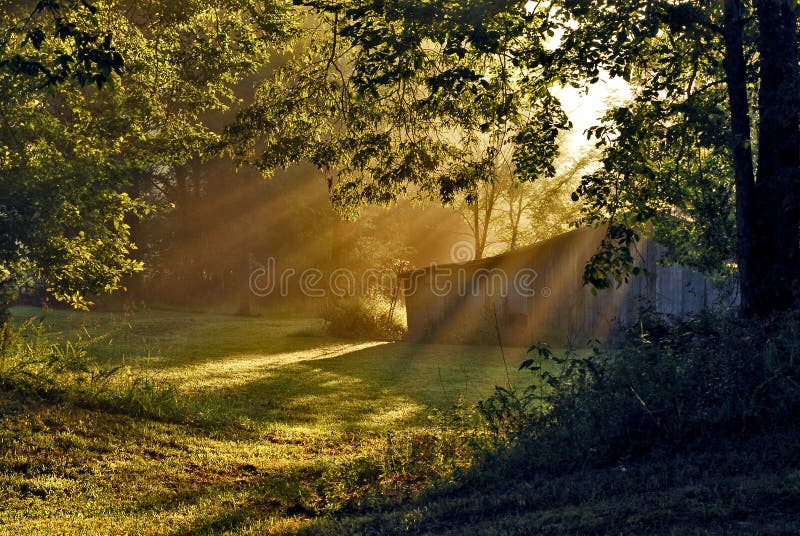 Loods in de ochtendzon stock foto. Image of sereen, zonsopgang - 1277134