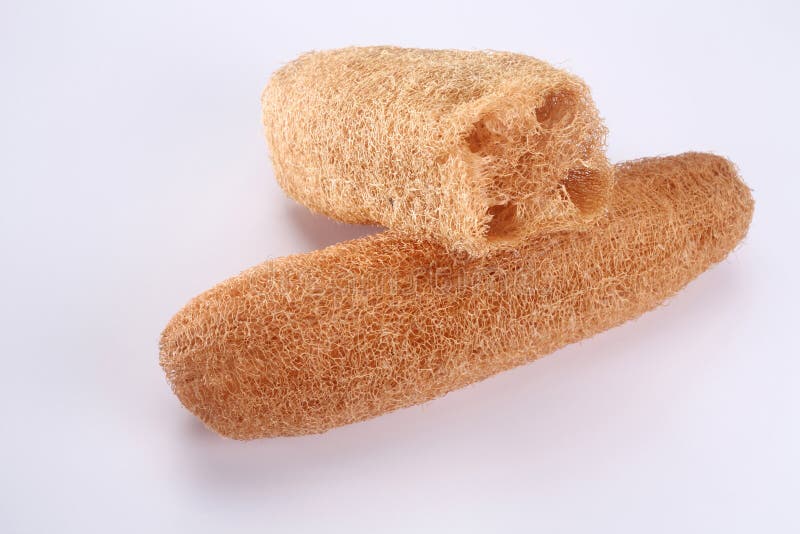 Loofah sponge stock photo. Image of healthcare, pampering - 25498334