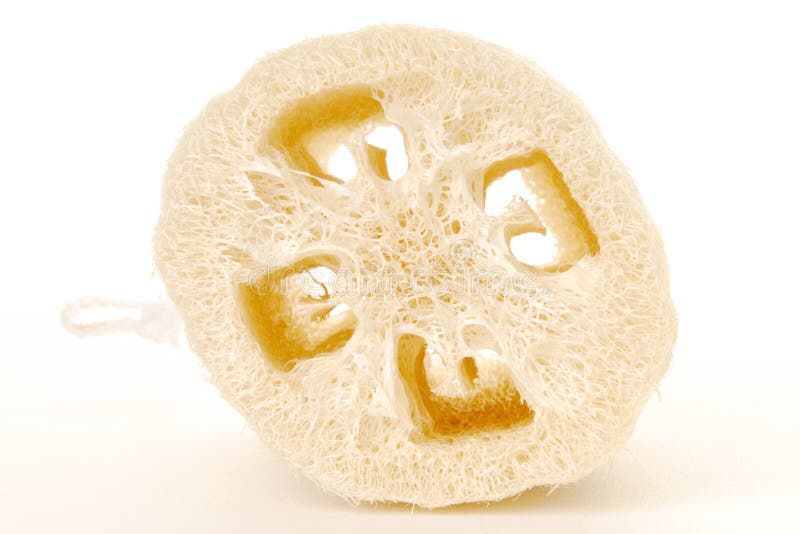 Loofah stock image. Image of body, bath, closeup, lufah - 2707075