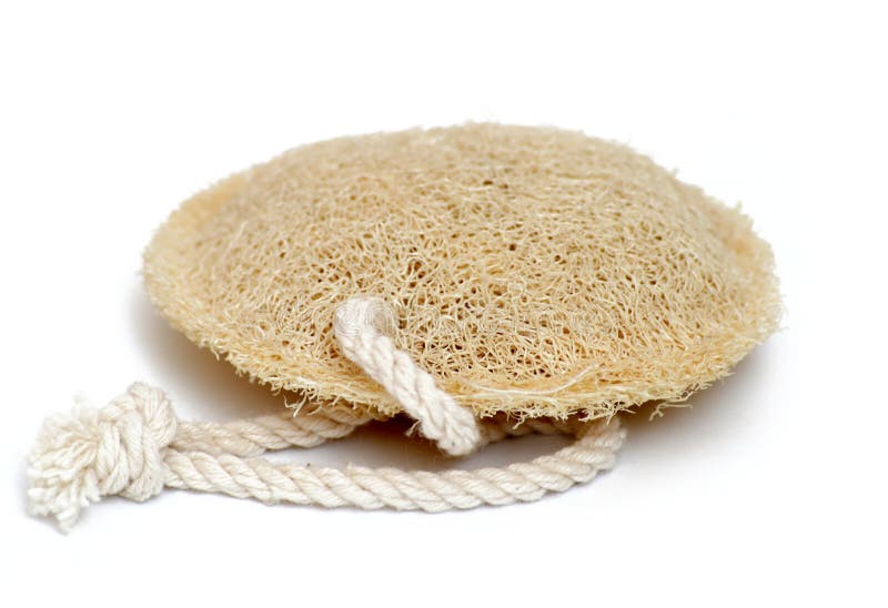 Loofah stock image. Image of grooming, rope, feature, indoors - 9229435