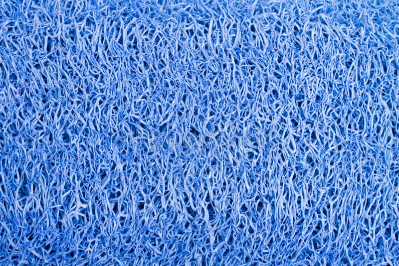 676 Blue Loofah Photos - Free & Royalty-Free Stock Photos from Dreamstime