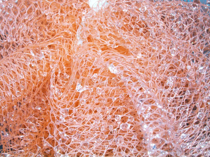 Loofah close up stock photo. Image of textured, drops - 5026754