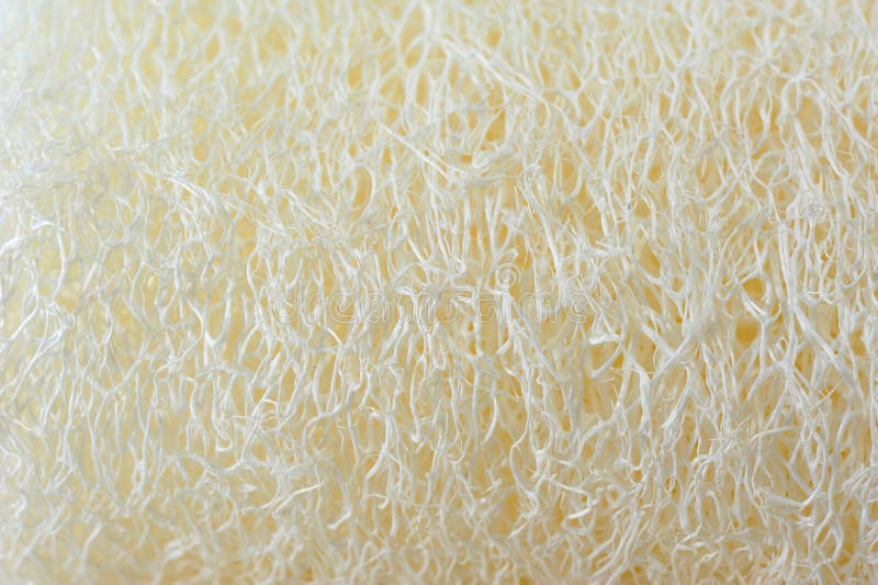 Loofah texture stock photo. Image of closeup, pattern - 39857562