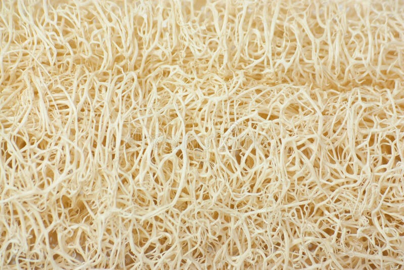 Loofah texture stock photo. Image of closeup, pattern - 39857562