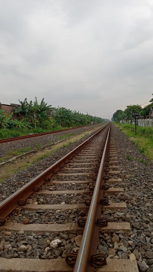 Look Ahead and Follow the Very Long Train Tracks Stock Image - Image of ...