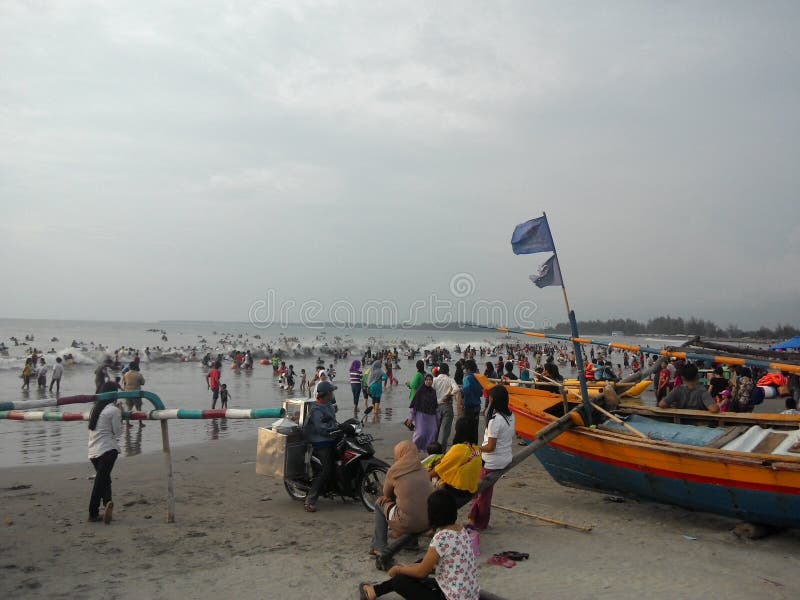 Look Around the Beach editorial image. Image of crow - 259627530