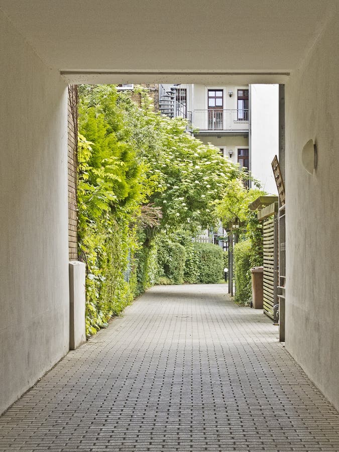 Look into the Backalley of an Urban House Stock Image - Image of ...