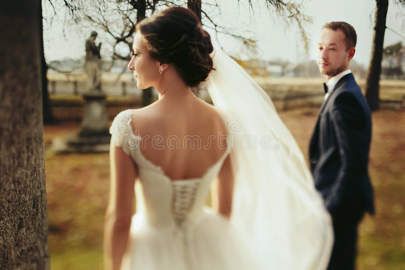 A Look from Behind on the Delicate Bride`s Back while she Looks Stock ...