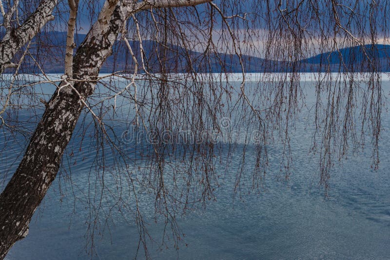 Look at big lake in spring stock photo. Image of sunny - 137797826