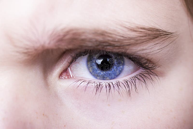 Look blue eyes boy stock image. Image of cute, close - 50048177