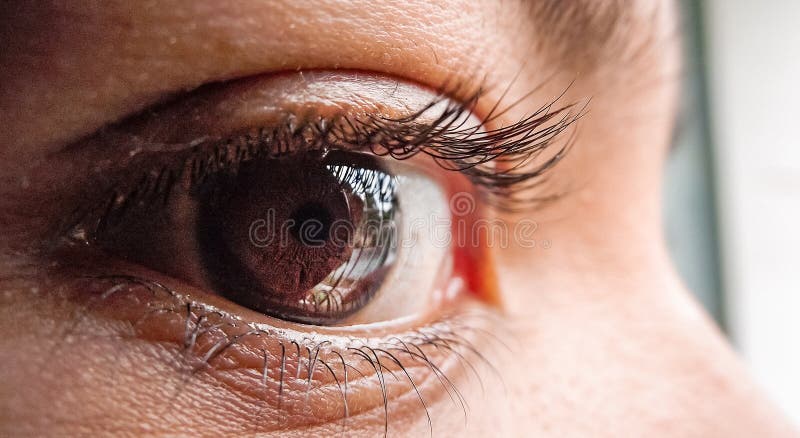Look brown eyes sideways stock photo. Image of sidewa - 213097288