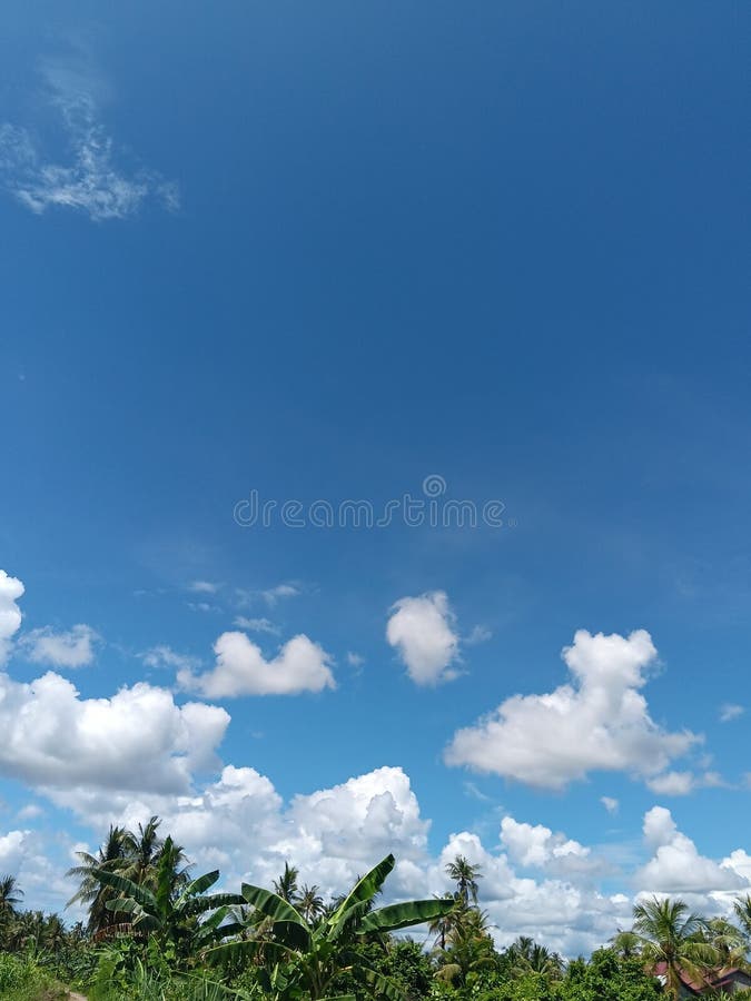 Look at this Clear Sky so Bright and Hot Stock Photo - Image of bright ...