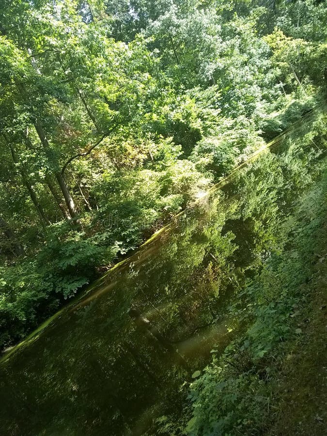 A look down at the water stock image. Image of green - 168336623