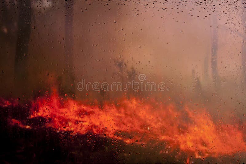 Look at the Fire in the Forest Stock Image - Image of weather, blur ...