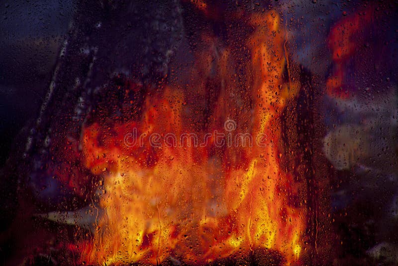 Look at the Fire in the Forest Stock Image - Image of look, relief ...