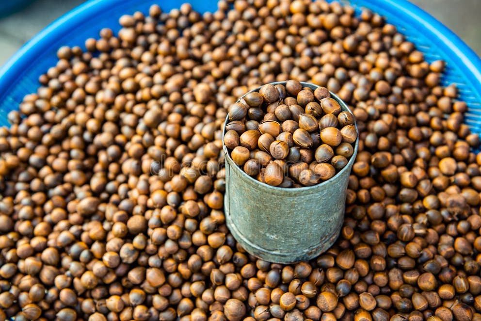Look Gor Fruit or Thai Style Chestnuts Stock Image - Image of cuisine ...