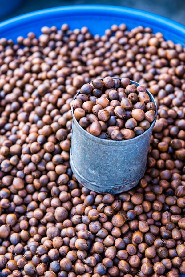 Look Gor Fruit or Thai Style Chestnuts Stock Photo - Image of ...