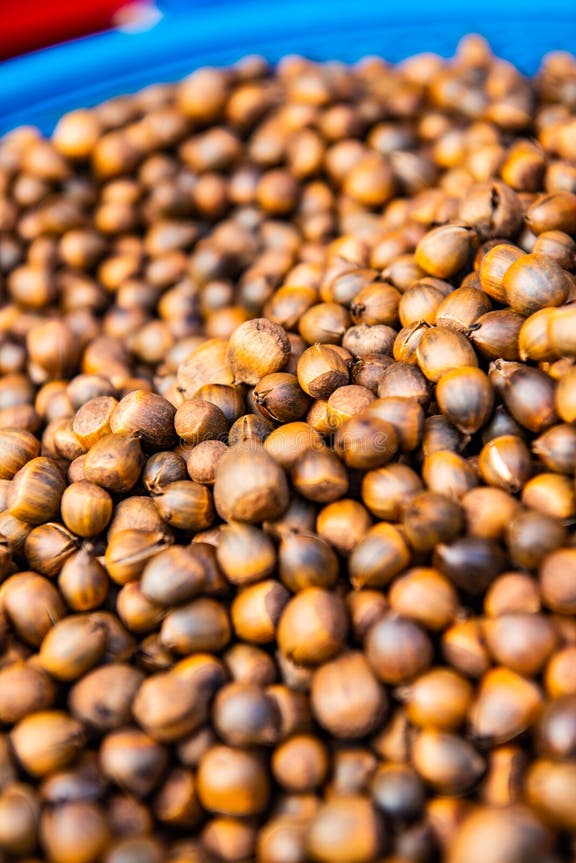 Look Gor Fruit or Thai Style Chestnuts Stock Photo - Image of gourmet ...