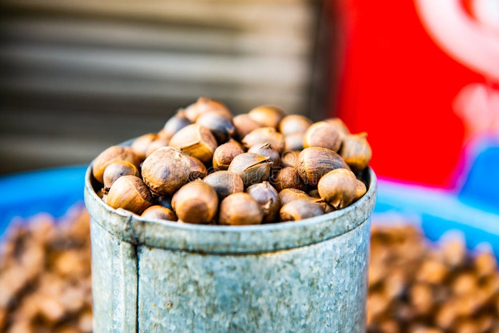 Look Gor Fruit or Thai Style Chestnuts Stock Image - Image of fruit ...
