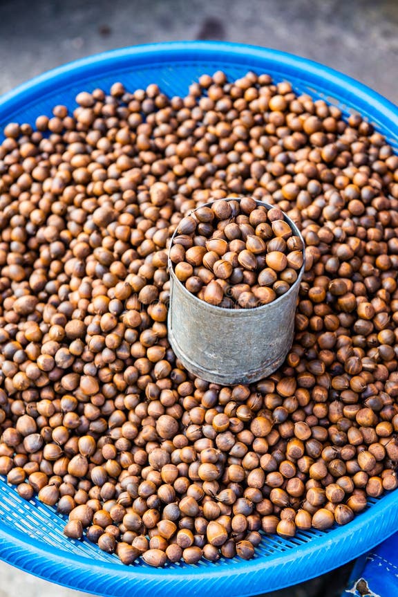 Look Gor Fruit or Thai Style Chestnuts Stock Image - Image of healthy ...