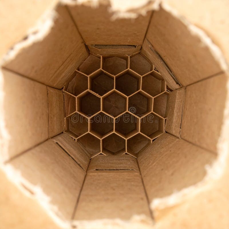 Complex Cardboard Structure Stock Illustrations – 107 Complex Cardboard ...