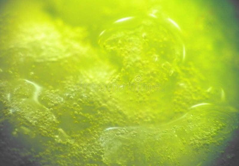 Look at Organic Objects Under Magnifier Stock Image - Image of medical ...