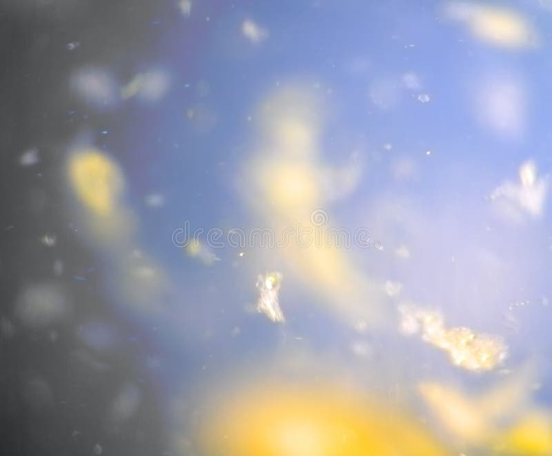 Look at Organic Objects Under Magnifier Stock Image - Image of biology ...