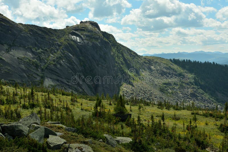 A Look Over Young Cedars at a High Mountain Range with a Sheer Cliff ...