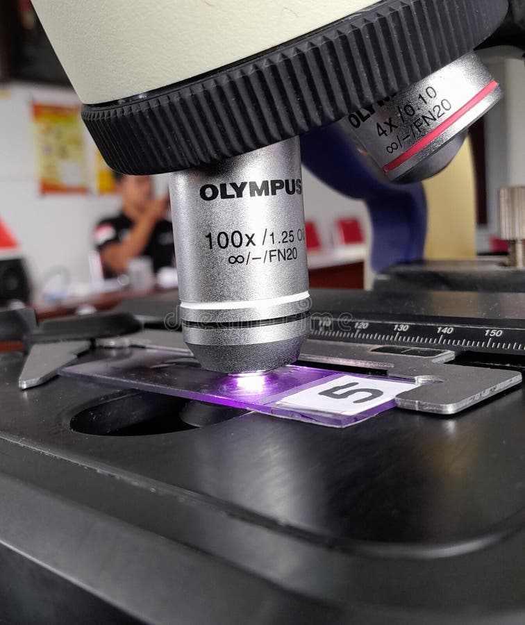 Look for Parasites Using a Hundred Magnification Microscope Editorial ...