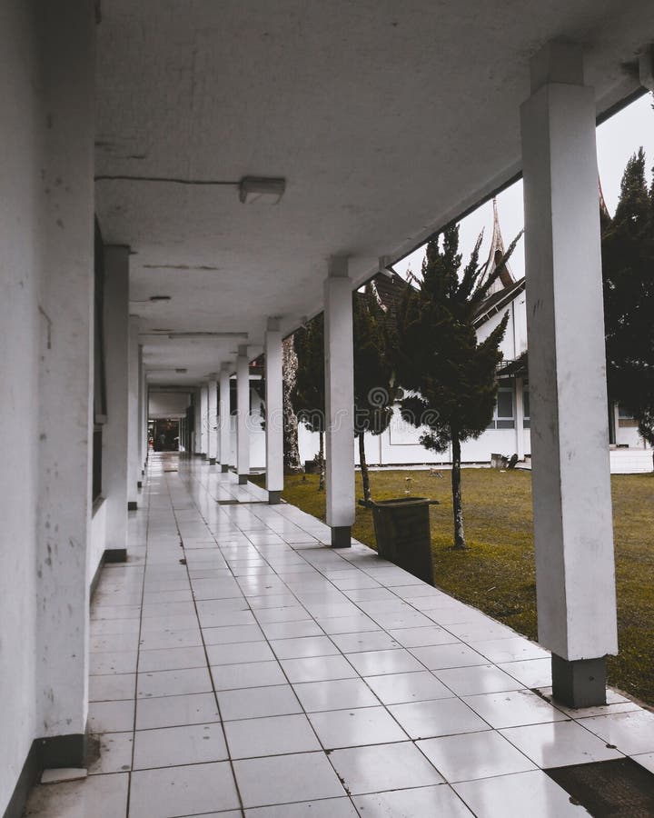 Learning Perspective Life College Stock Photo - Image of college, life ...