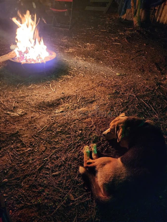 Fire don& x27;t touch stock photo. Image of bonfire - 228591416