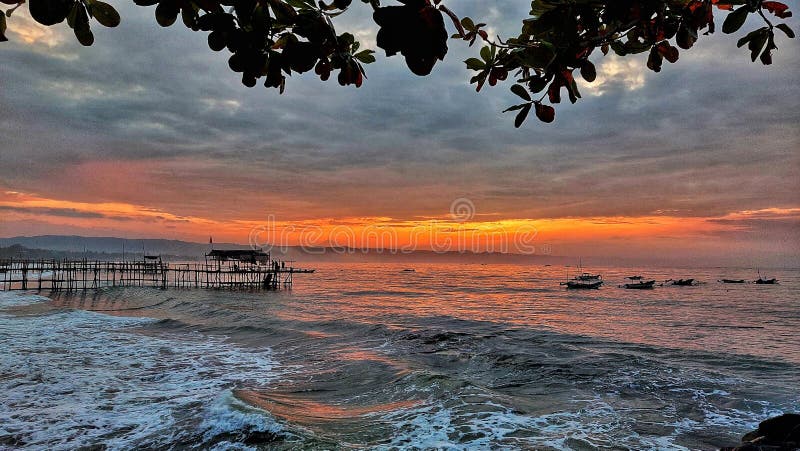 Look the sea stock image. Image of beach, nature, look - 273736089