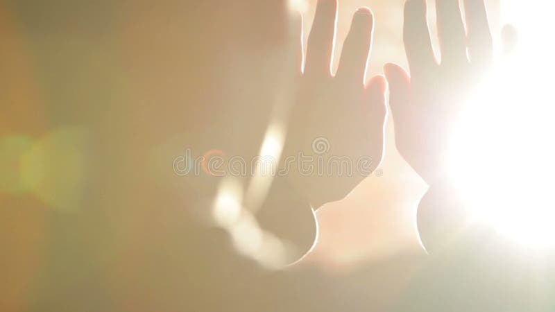 Look of Sun Shining through Man S Hands and Cleft Stock Footage - Video ...