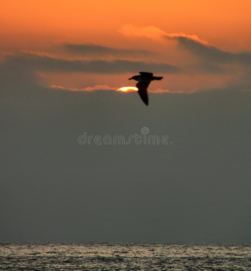 Look Sunset Beach Sea Nature Surf Ocean Stock Photo - Image of surf ...