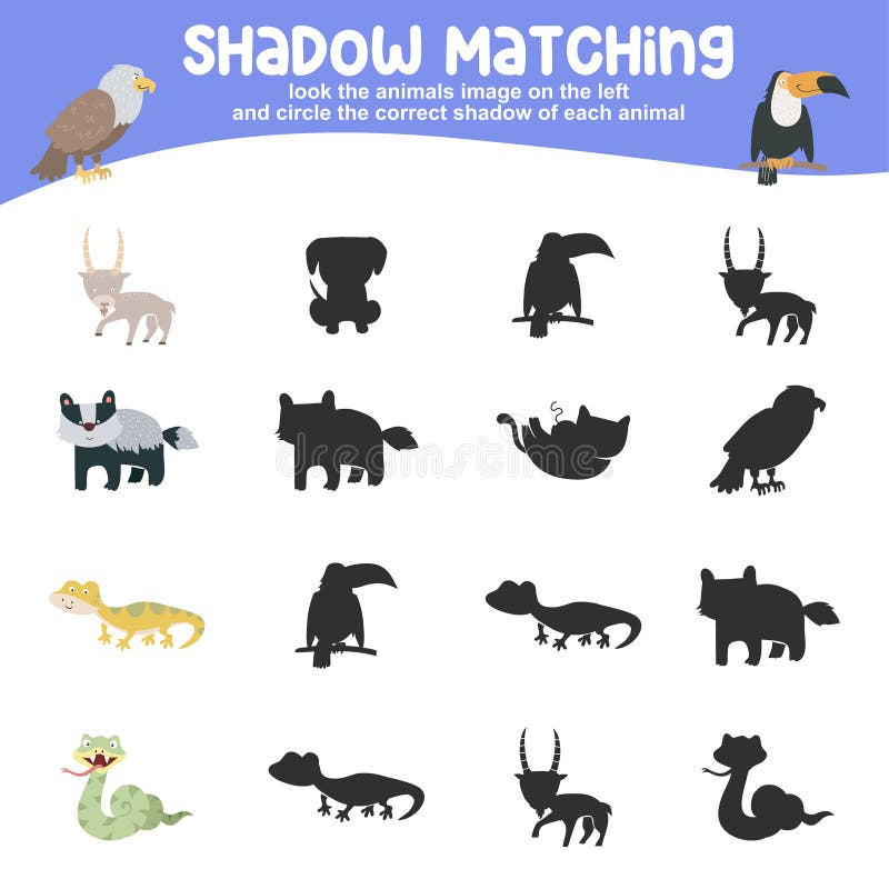 Look the Image on the Left and Circle the Correct Shadow of Each Image ...